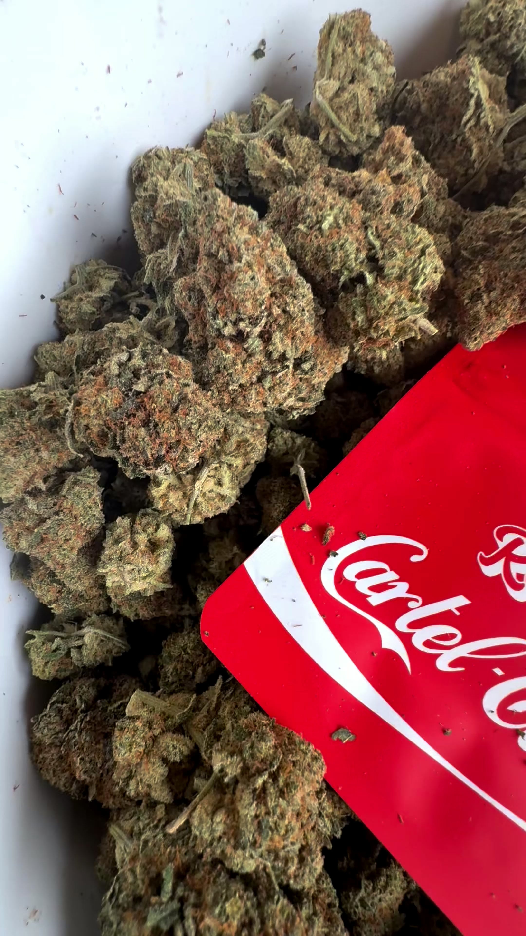 THCA Kaufen - Rollz Germany – Rollz DE