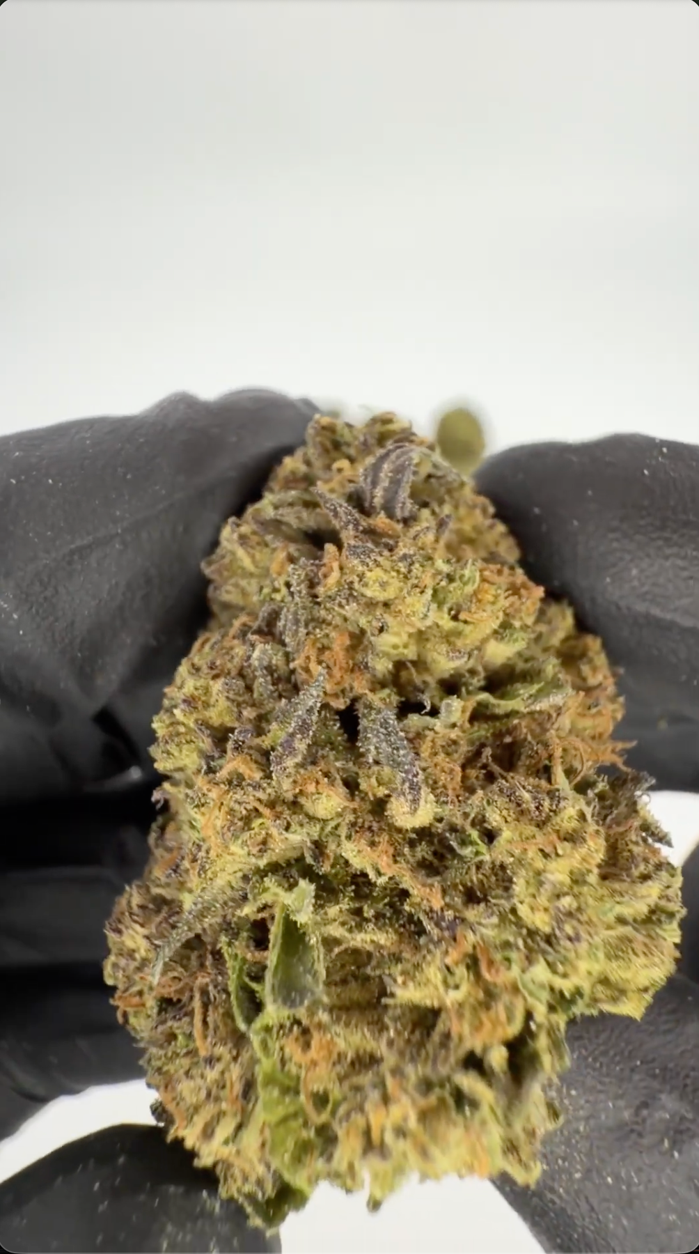 THCA Kaufen - Rollz Germany – Rollz DE